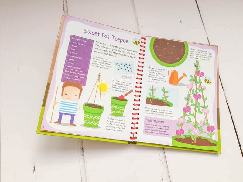 Wicked Uncle Review The Ladybirds Adventures