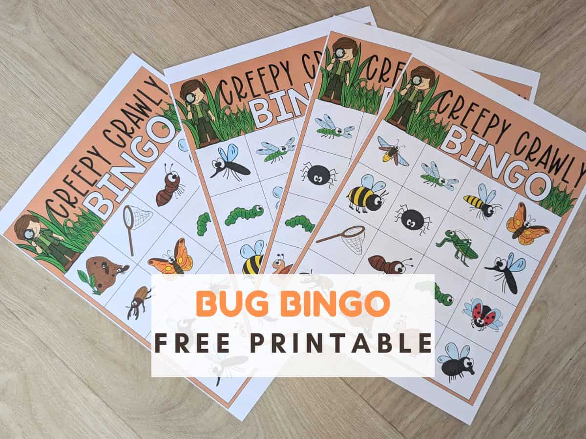 Bug bingo free printable - The Ladybirds' Adventures