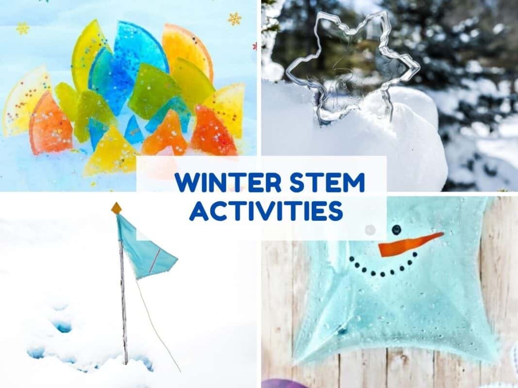 Winter STEM Activities - The Ladybirds' Adventures